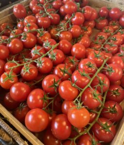 SOLAAL | Facilite le don agricole